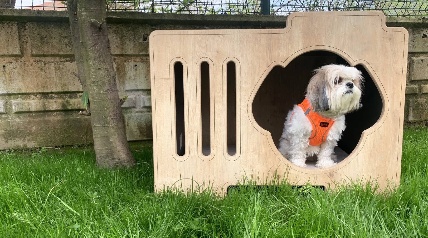 What Is Dog Crate Training And Is It Suitable For You What Is Dog Crate Training And Is It Suitable For You